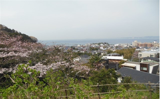 葉山町のおすすめ景勝地【歴旅コラム】 ｜特集 ｜【公式】神奈川県のお出かけ・観光・旅行サイト「観光かながわNOW」